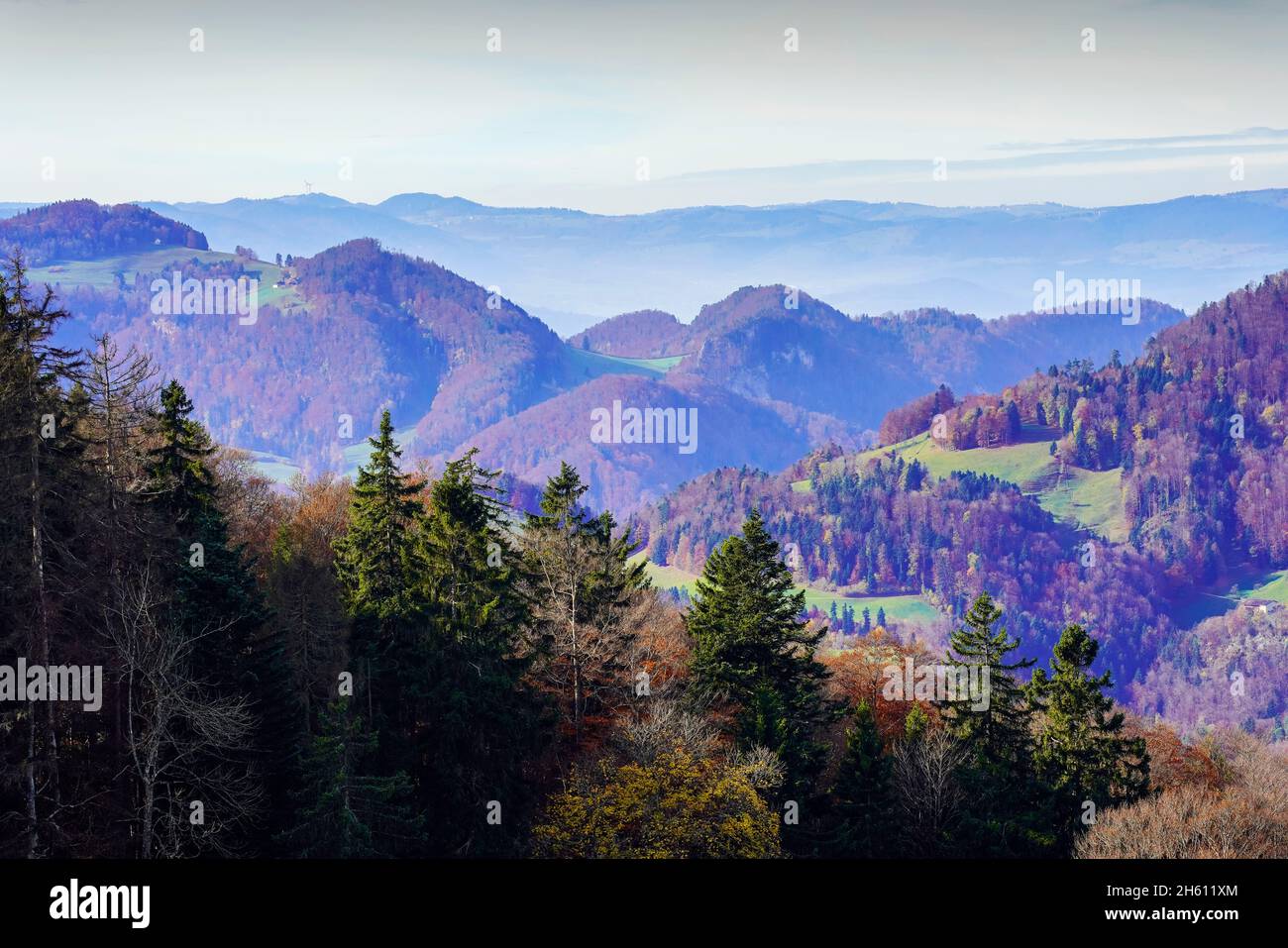 Panoramic view from the mountains above the Regional Nature Park Thal ...