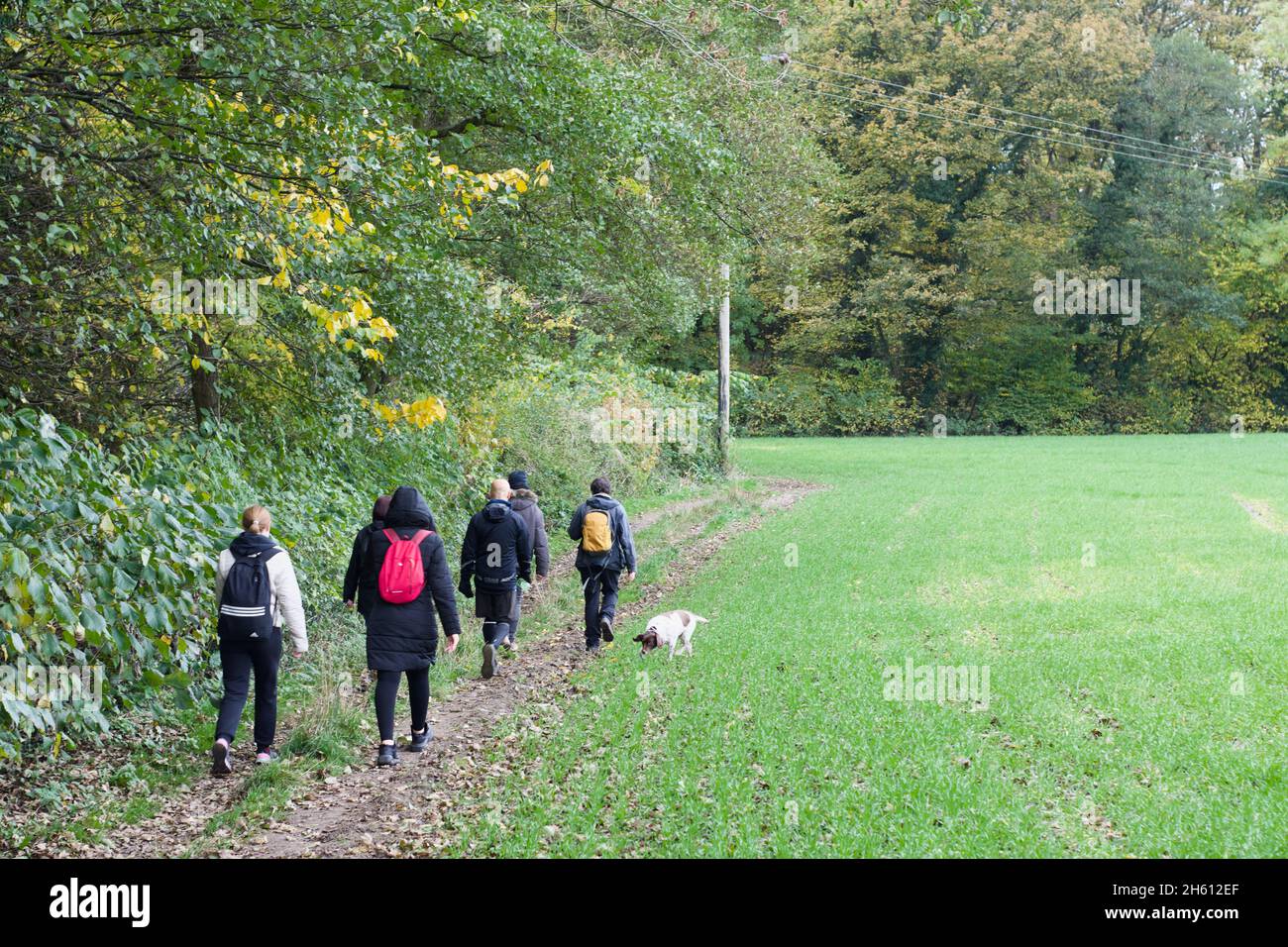 Group of people hiking through a field in the English countryside on a ...