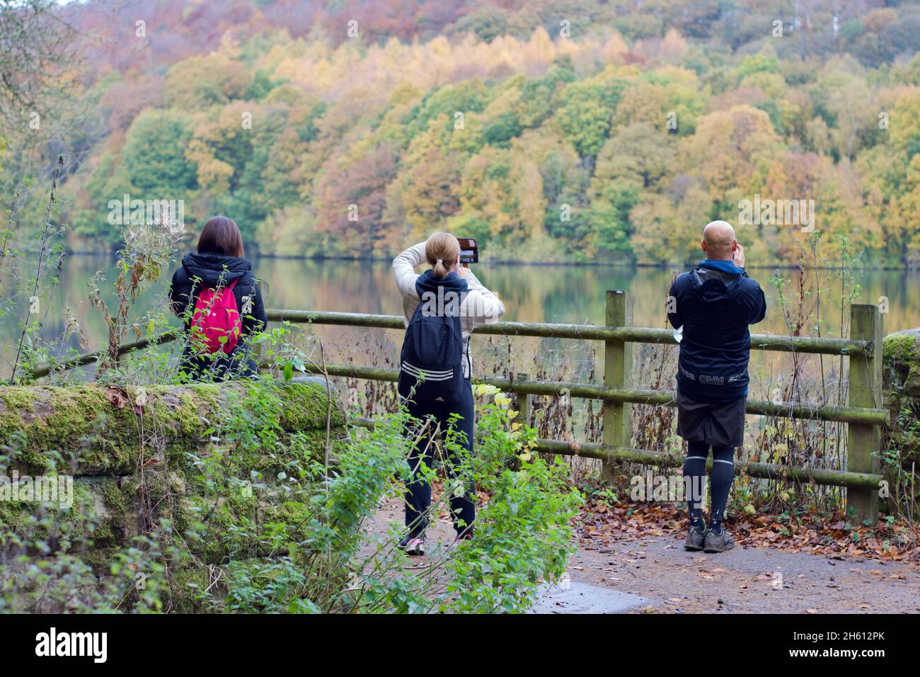 Hikers and photographers enjoy the view of a lake surrounded by ...
