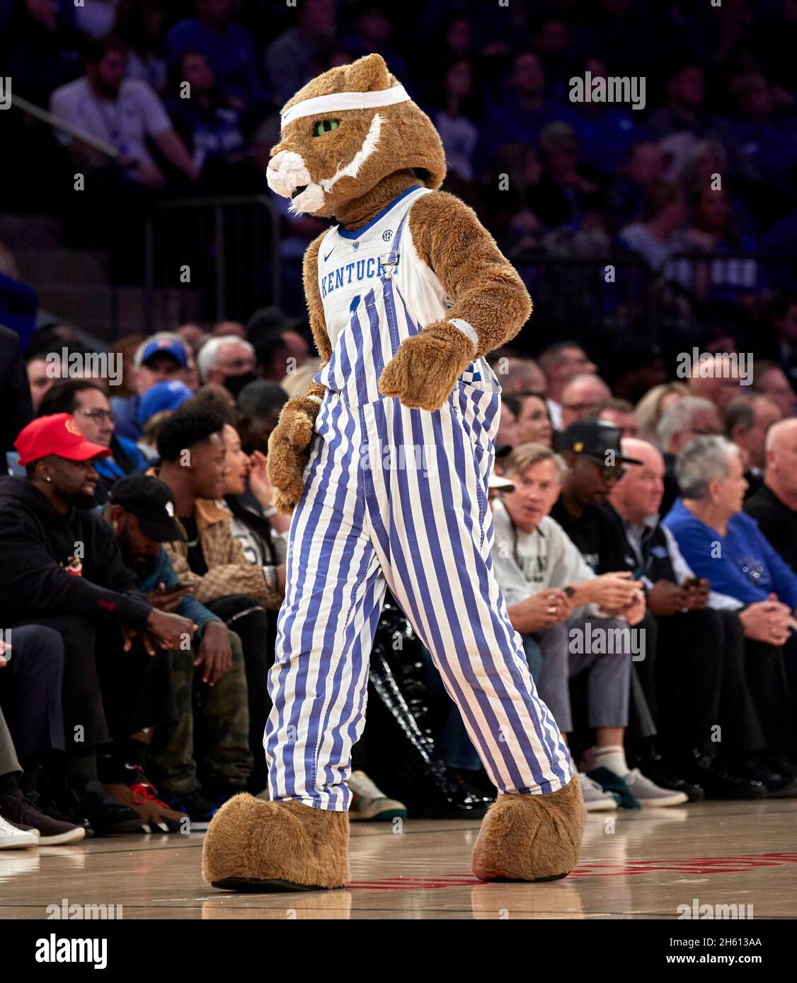 New York, New York, USA. 9th Nov, 2021. Kentucky Wildcats mascot during ...