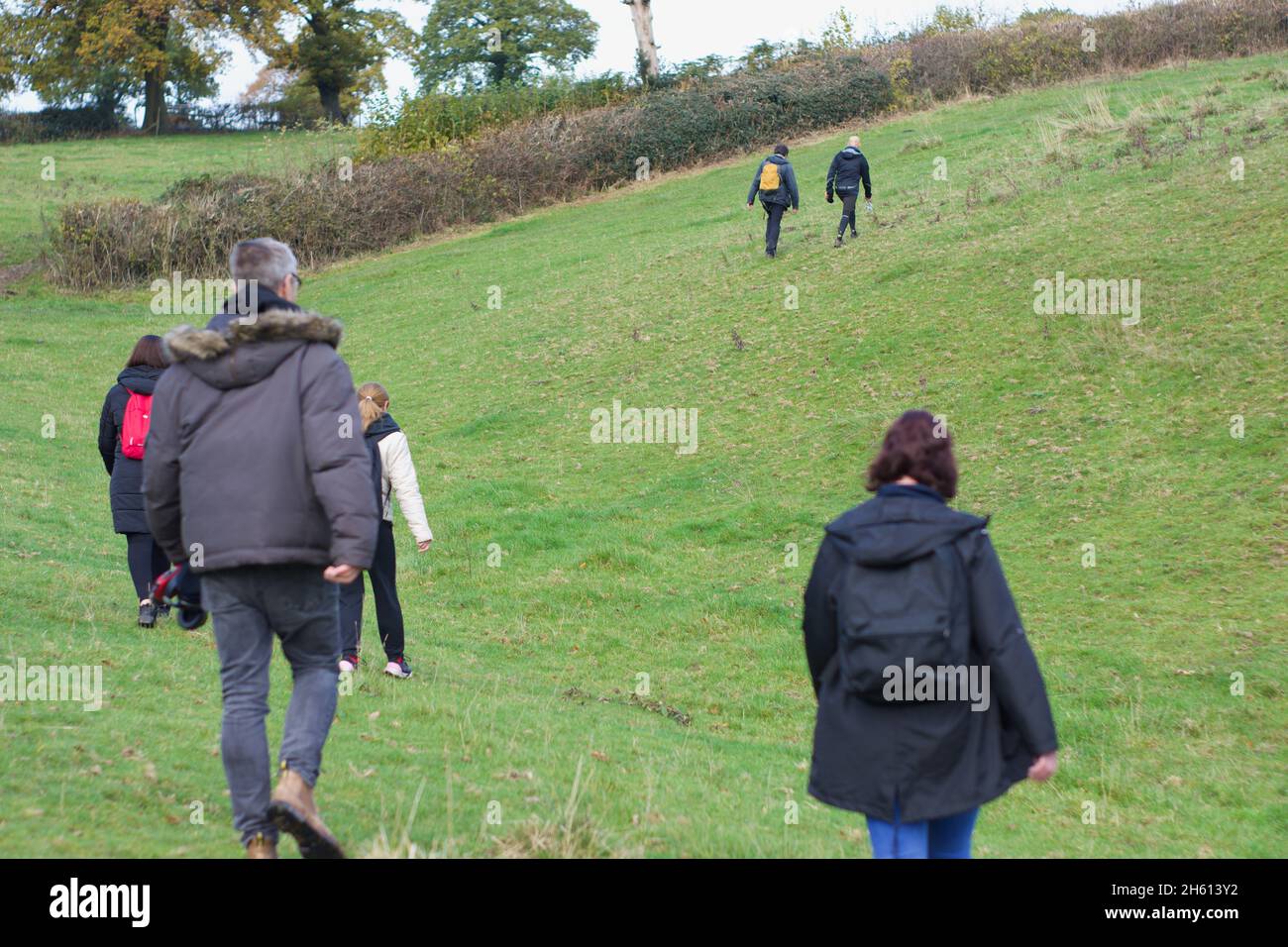 Group of people hiking through a field in the English countryside on a ...
