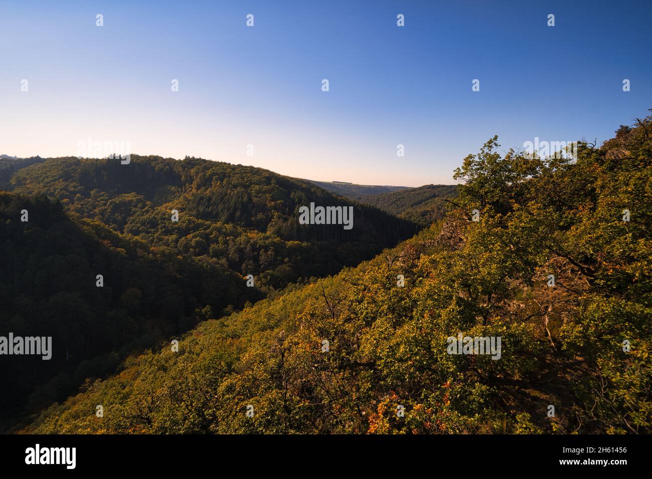 View of the landscape from the Geierlay suspension bridge. Beautiful ...