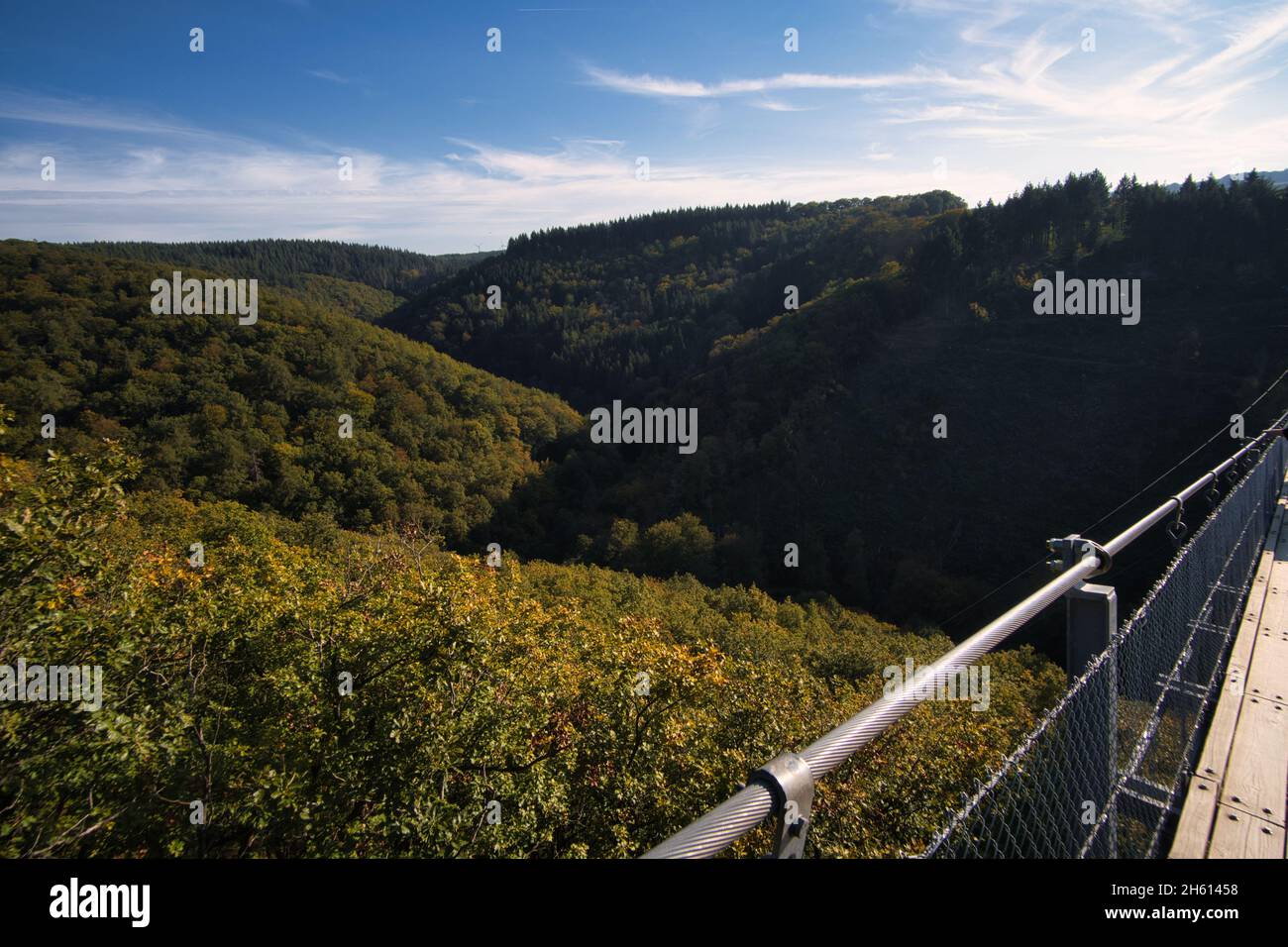 View of the landscape from the Geierlay suspension bridge. Beautiful ...