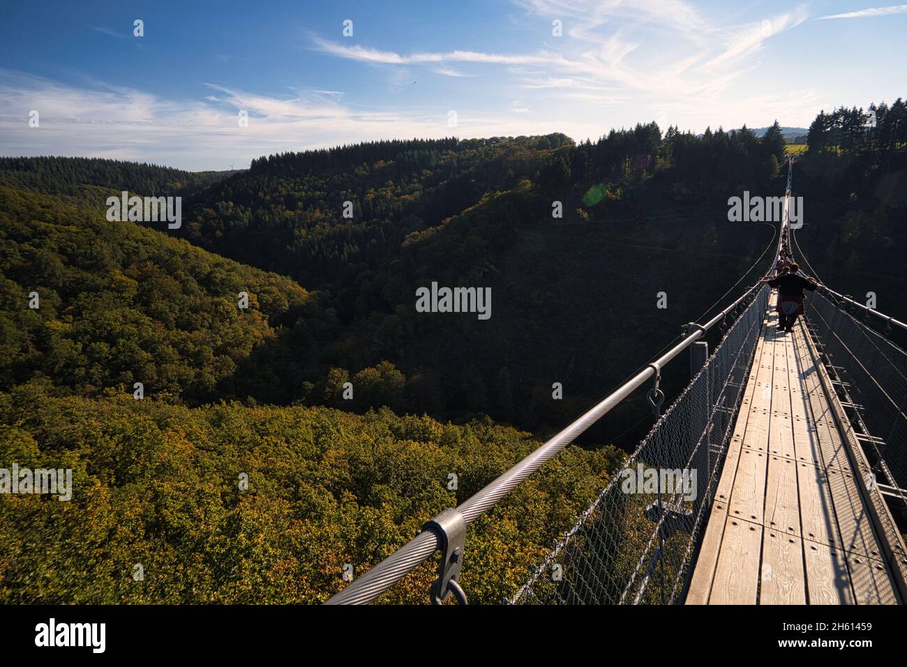 View of the landscape from the Geierlay suspension bridge. Beautiful ...