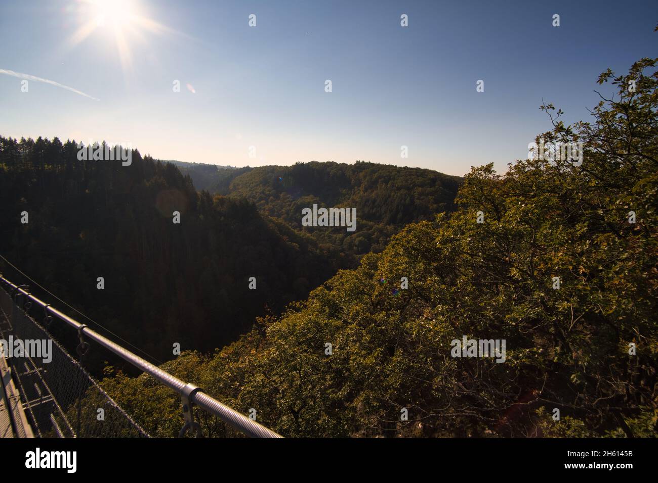 View of the landscape from the Geierlay suspension bridge. Beautiful ...
