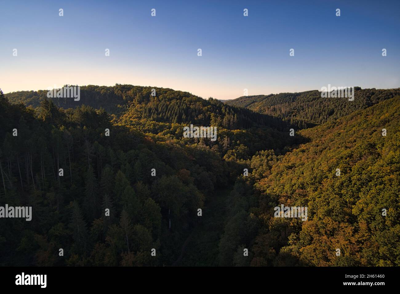 View of the landscape from the Geierlay suspension bridge. Beautiful ...