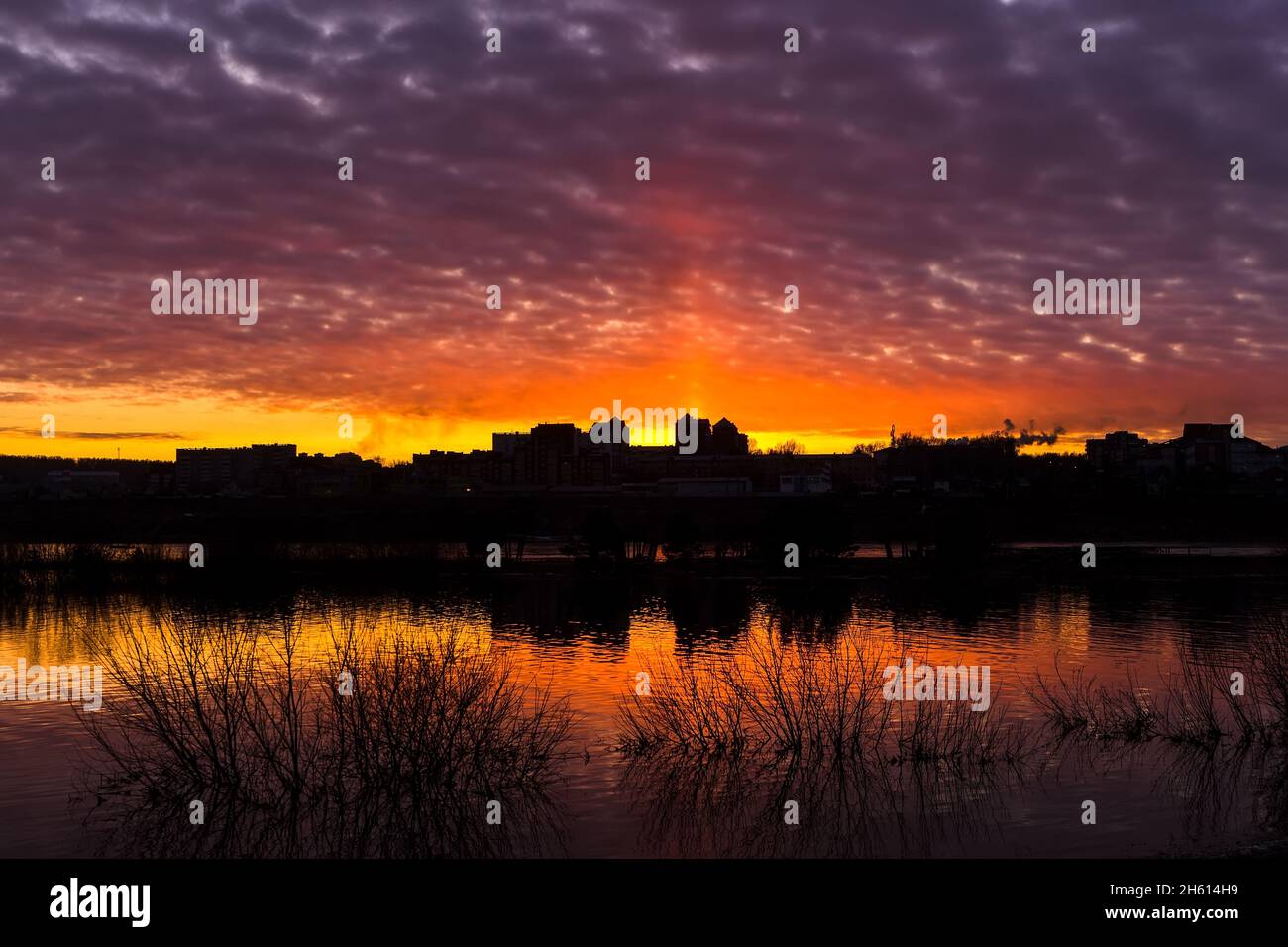 Sunset with lilac clouds, city and grass silhouettes. Naturel ...