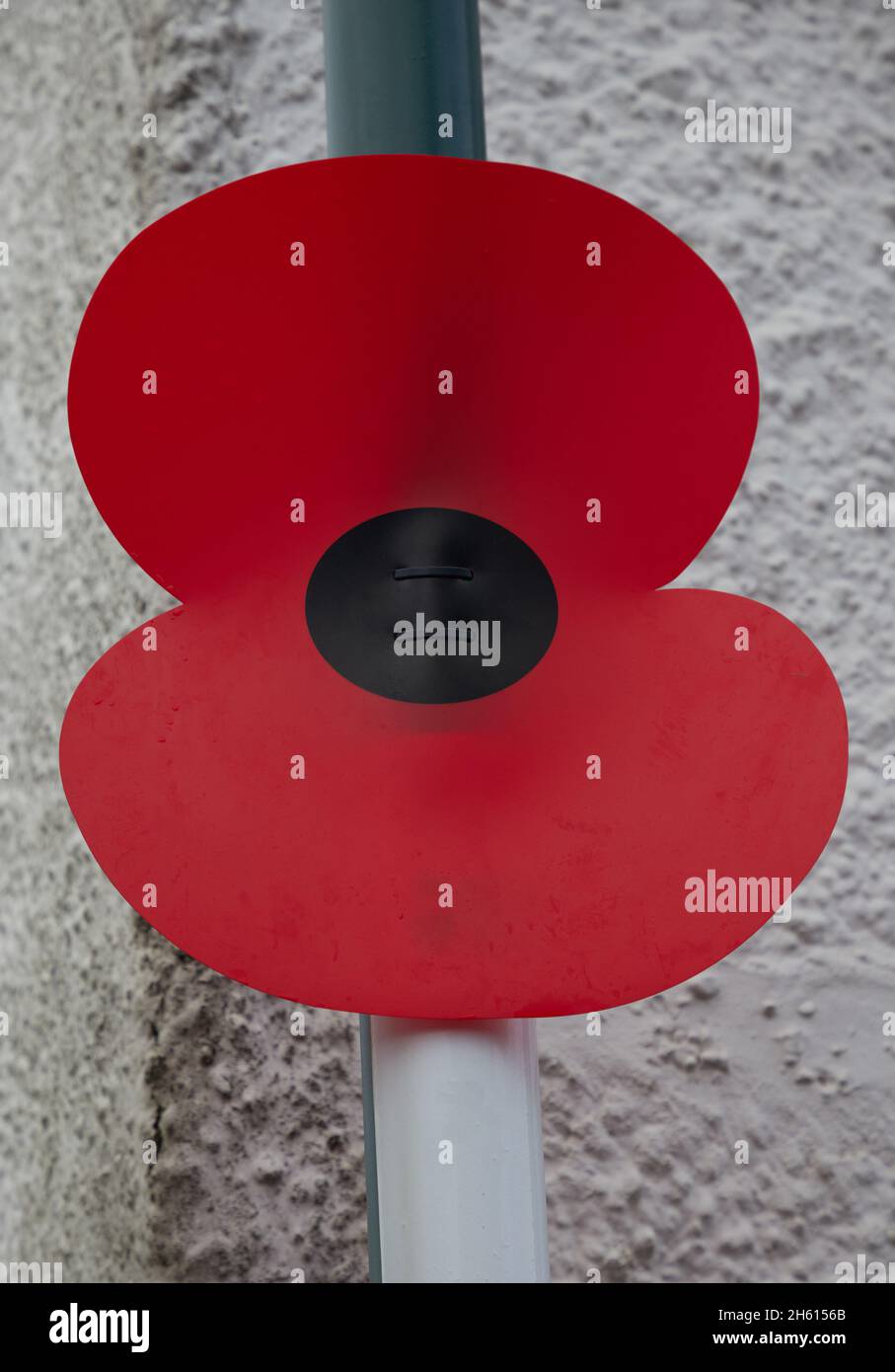 Large size remembrance poppy seen on a lamppost Stock Photo - Alamy