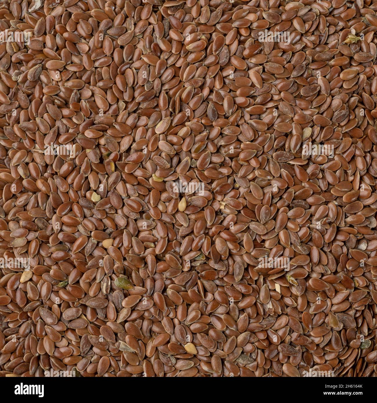 Top view, closeup of brown linseed seeds. Food backdrop Stock Photo - Alamy