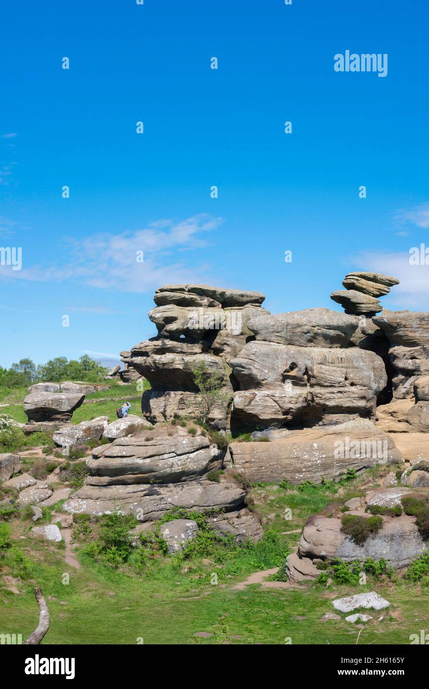 Brimham Rocks, view in summer of a senior man photographing a heavily ...