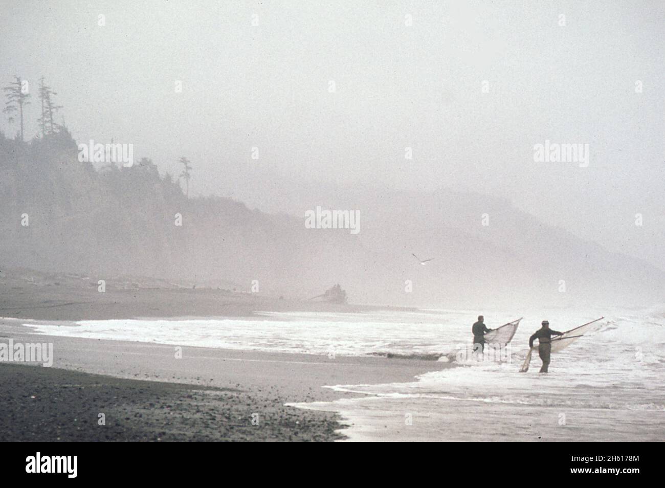 1970s America: Smelt fishermen cast nets in surf of Pacific Ocean in ...