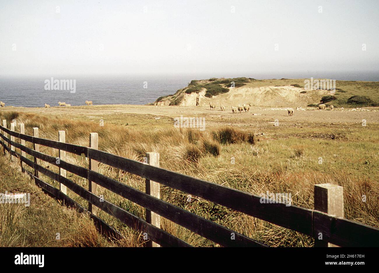 1970s America: Gold Bluff Beach in California ca. 1972 Stock Photo - Alamy