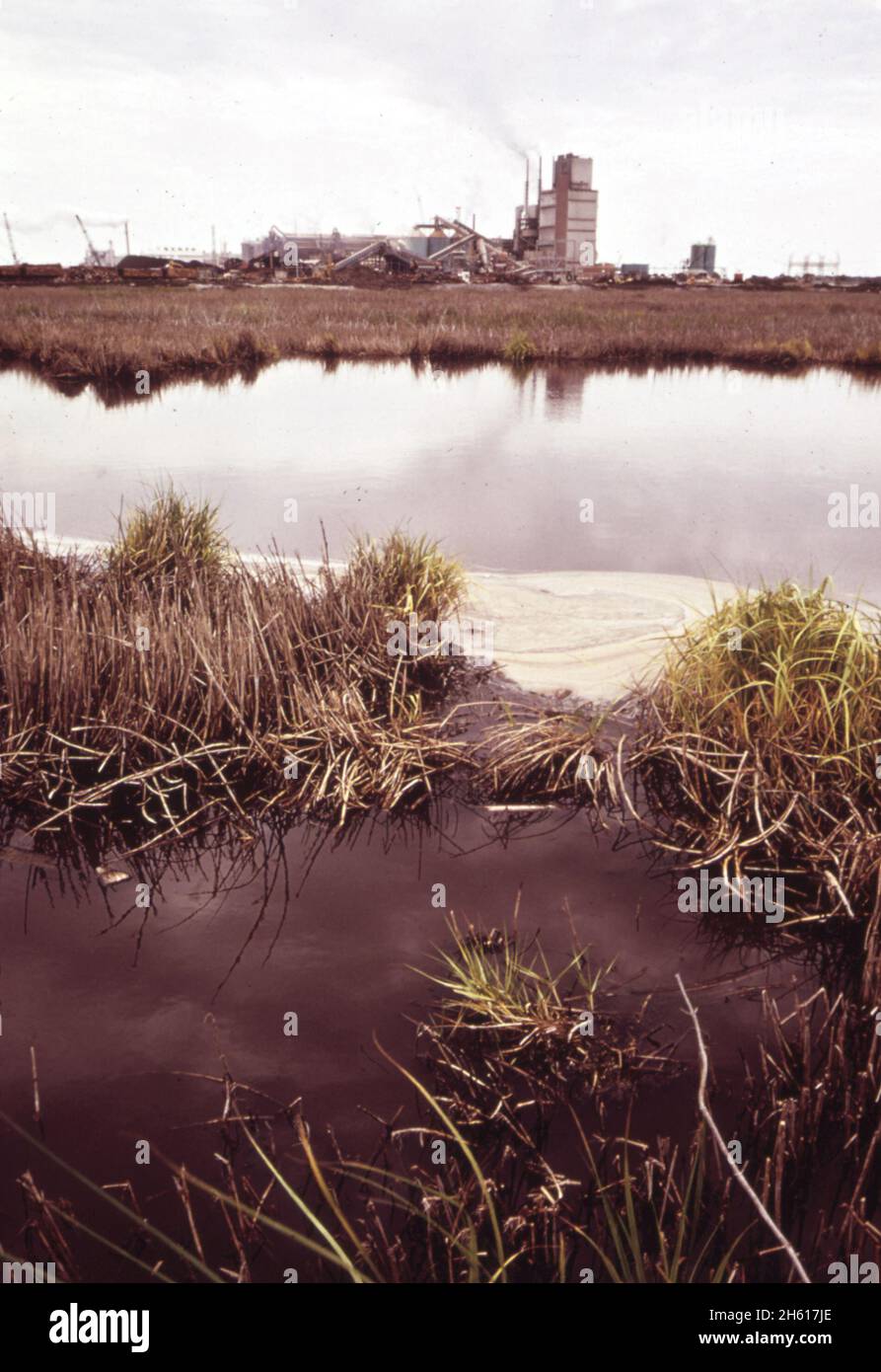 Mercury waste from the Brunswick pulp and paper company has destroyed ...