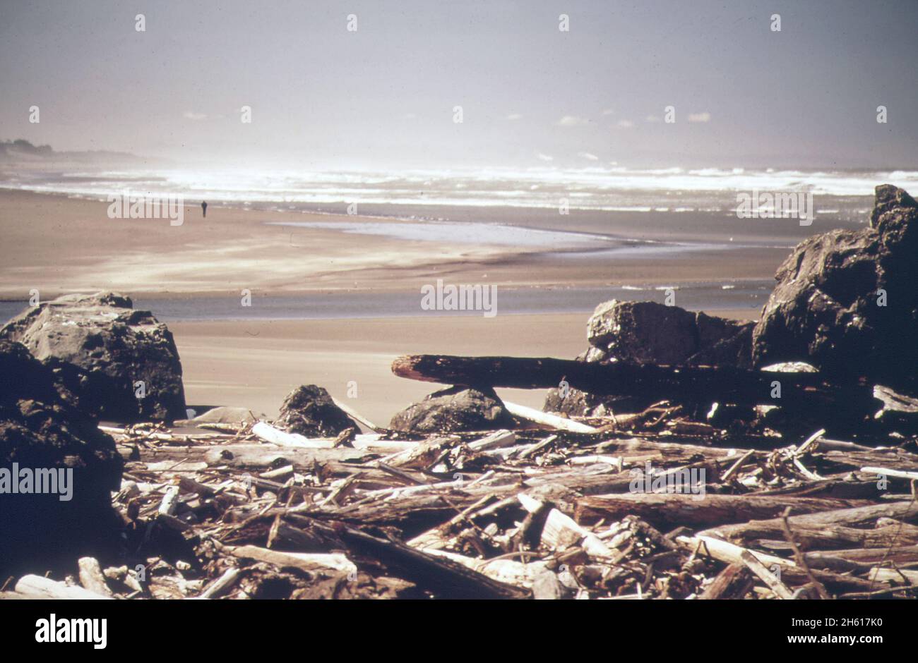 1970s America: Cast off timber piles on a beach in California ca. 1972 ...