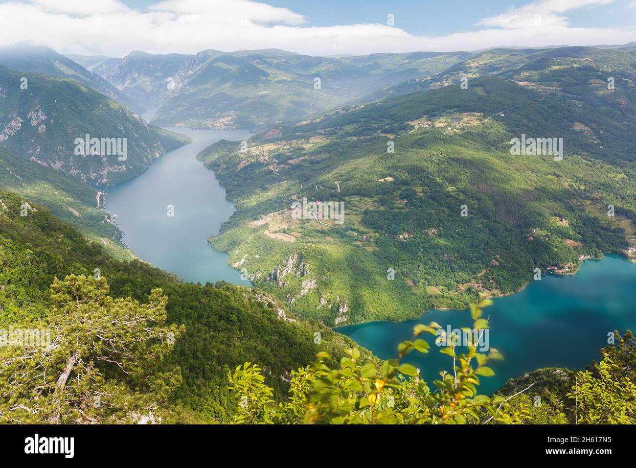 Panoramic view from viewpoint Banjska stena in National Park Tara ...