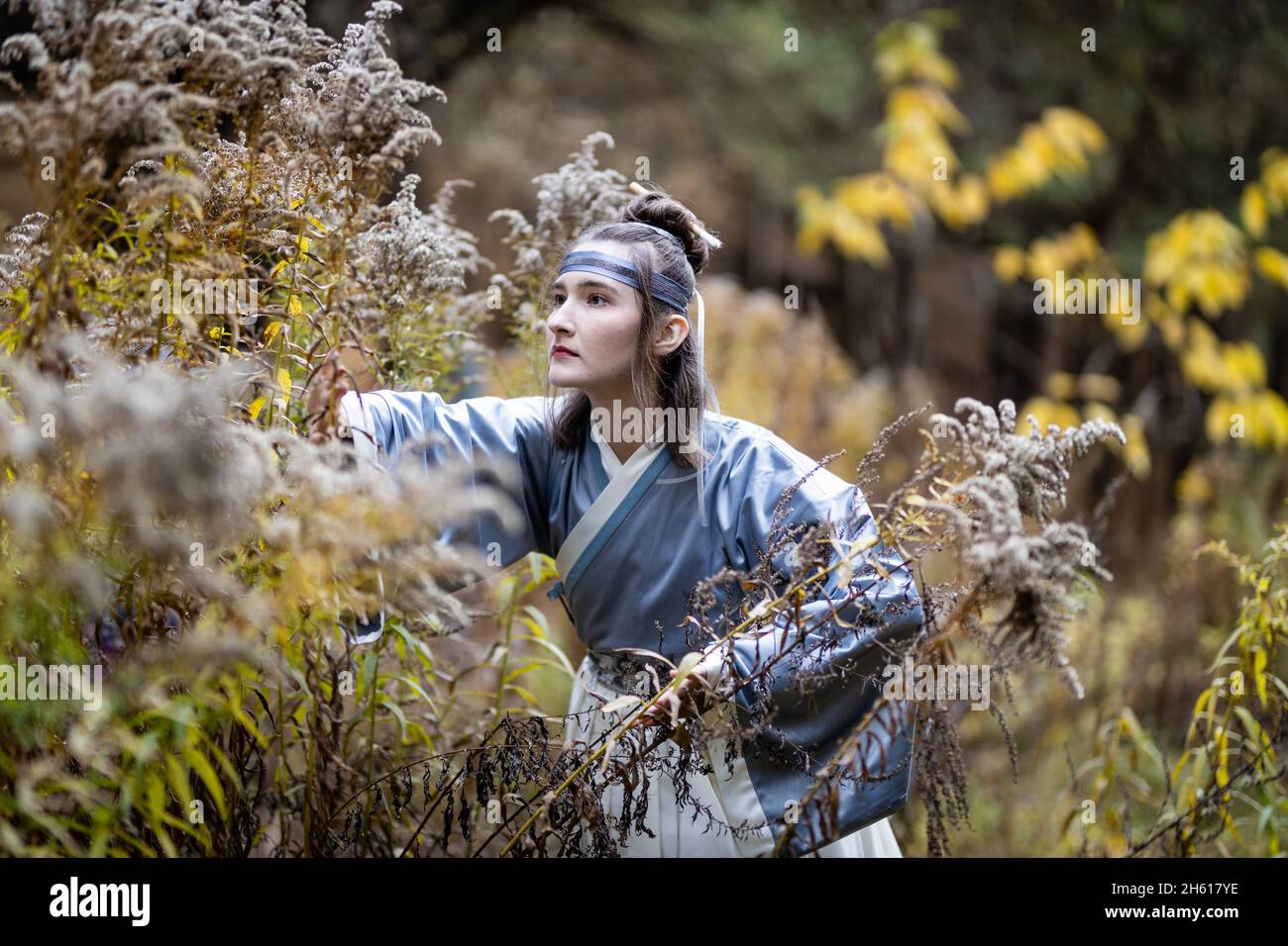 Woman wearing a hanfu hi-res stock photography and images - Alamy
