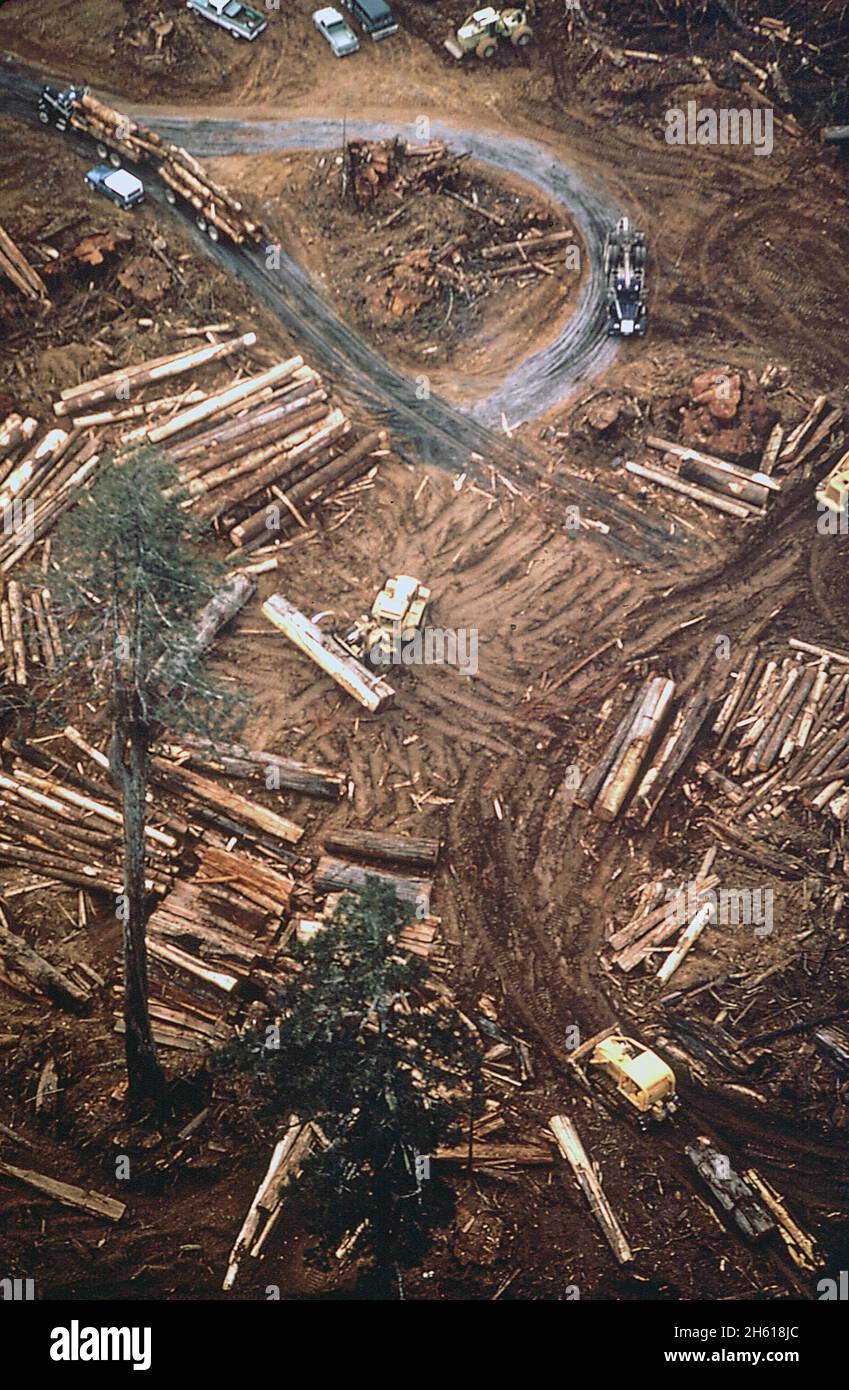 1970s logging industry hi-res stock photography and images - Alamy