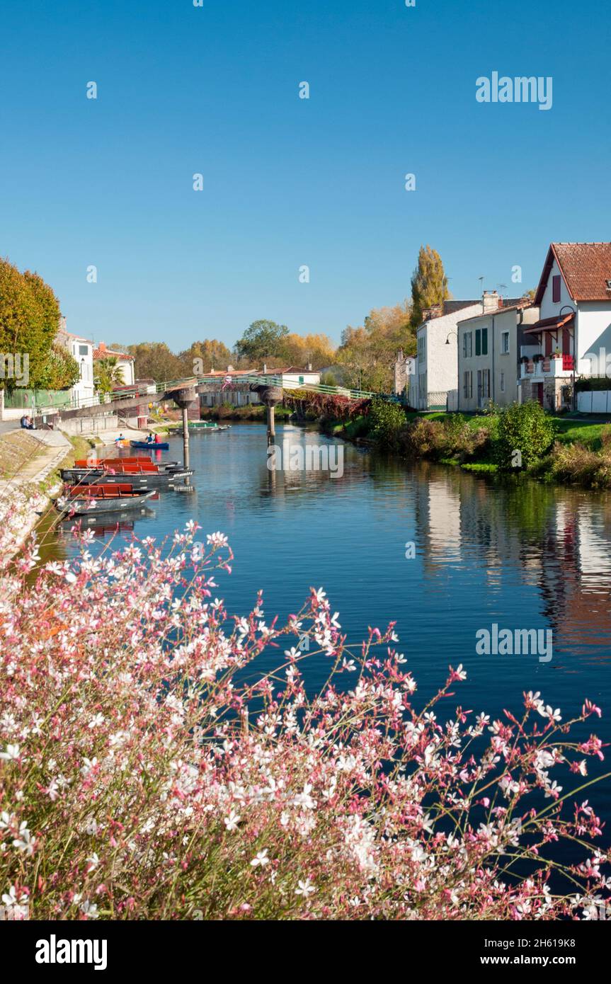 The Sevre Niortaise river in the picturesque town of Coulon in the ...