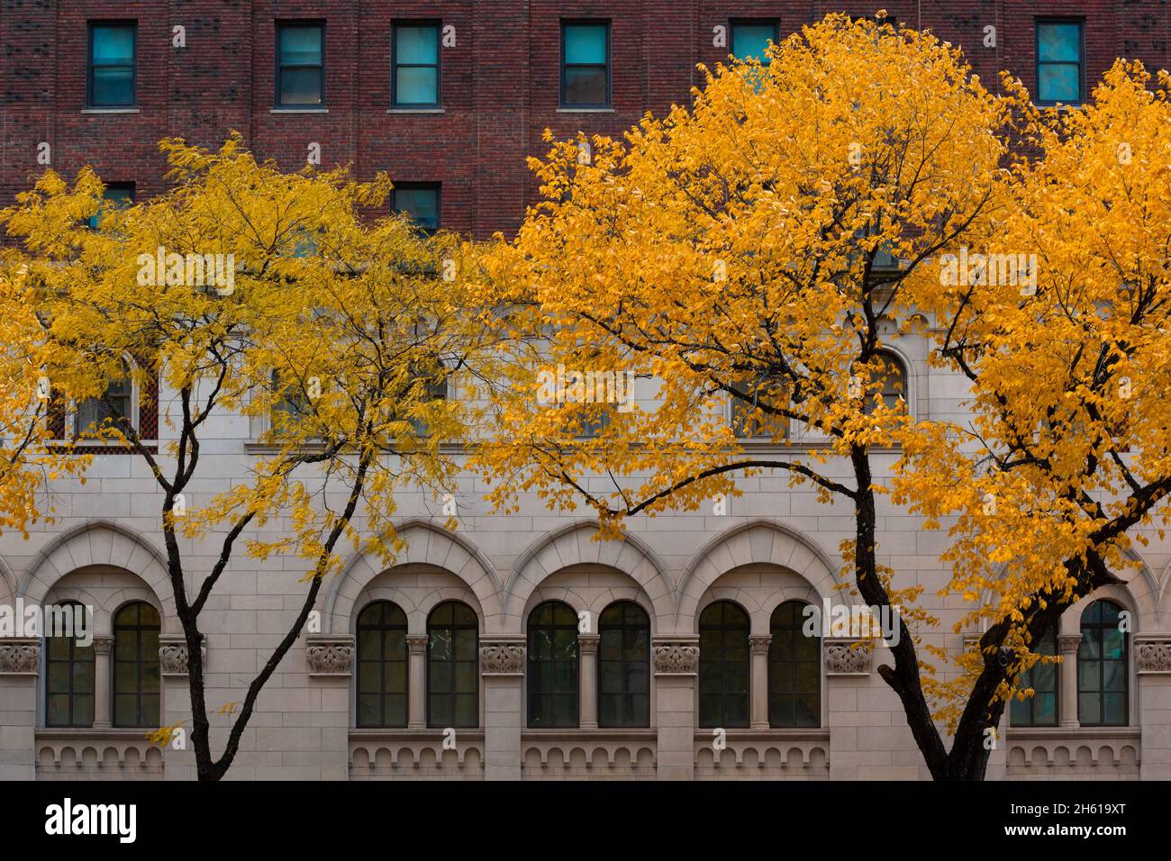 Autumn foliage and historical architecture of Chicago Stock Photo - Alamy