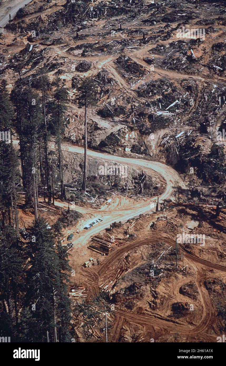 1970s california forest hi-res stock photography and images - Alamy