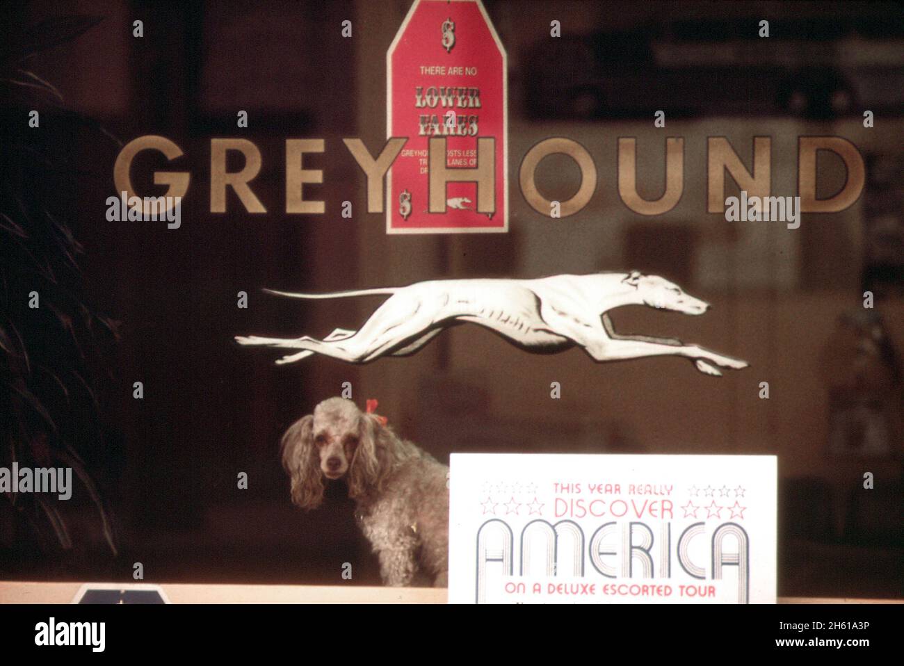 1970s greyhound bus station hi-res stock photography and images - Alamy