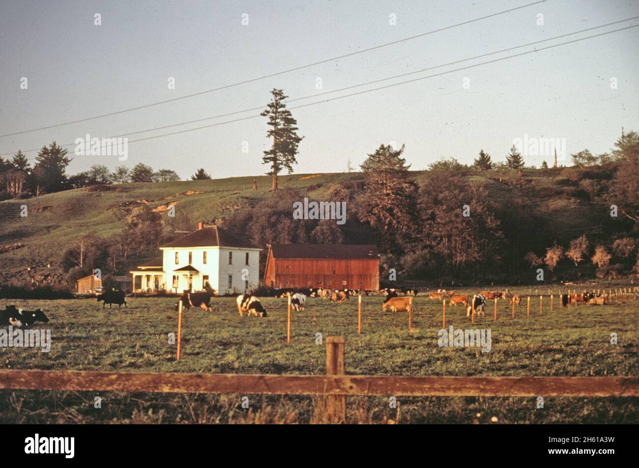 1970s california organic farm hi-res stock photography and images - Alamy