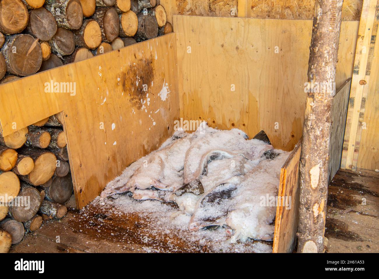 Salt cod fish hi-res stock photography and images - Alamy