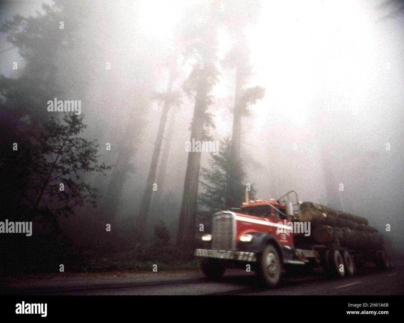 1970s America: A logging truck hauling logs to mills along highway 101 ...