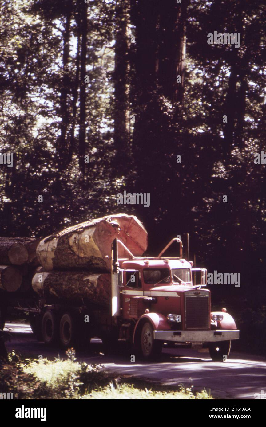 Logging industry 1970s hi-res stock photography and images - Alamy