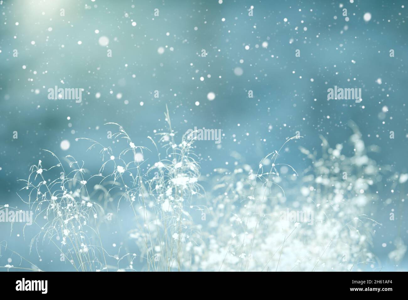 View snowfall hi-res stock photography and images - Alamy