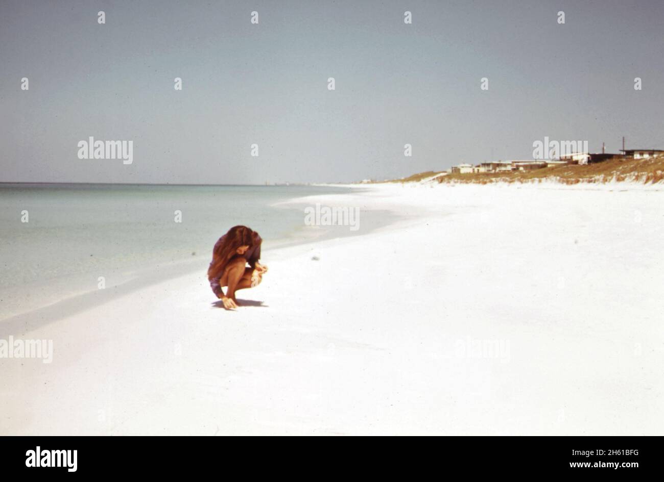 Woman picking up a shell on a beach at Destin, FL on the Gulf of Mexico ...