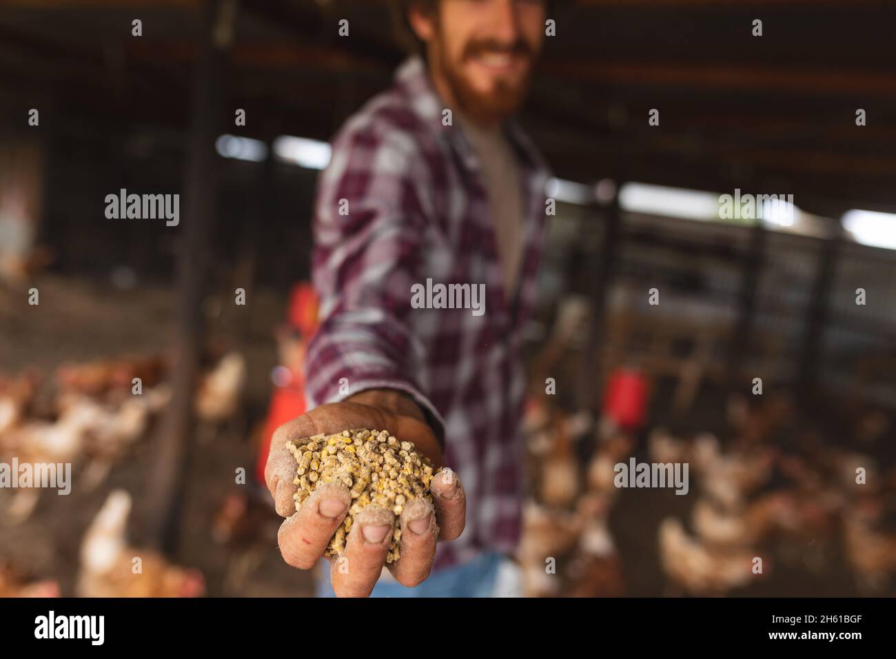 Smiling male poultry farmer showing grains in hand at pen with hens in ...