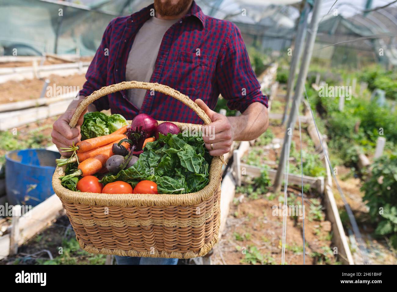 Harvesting fruit and vegetables hi-res stock photography and images - Alamy