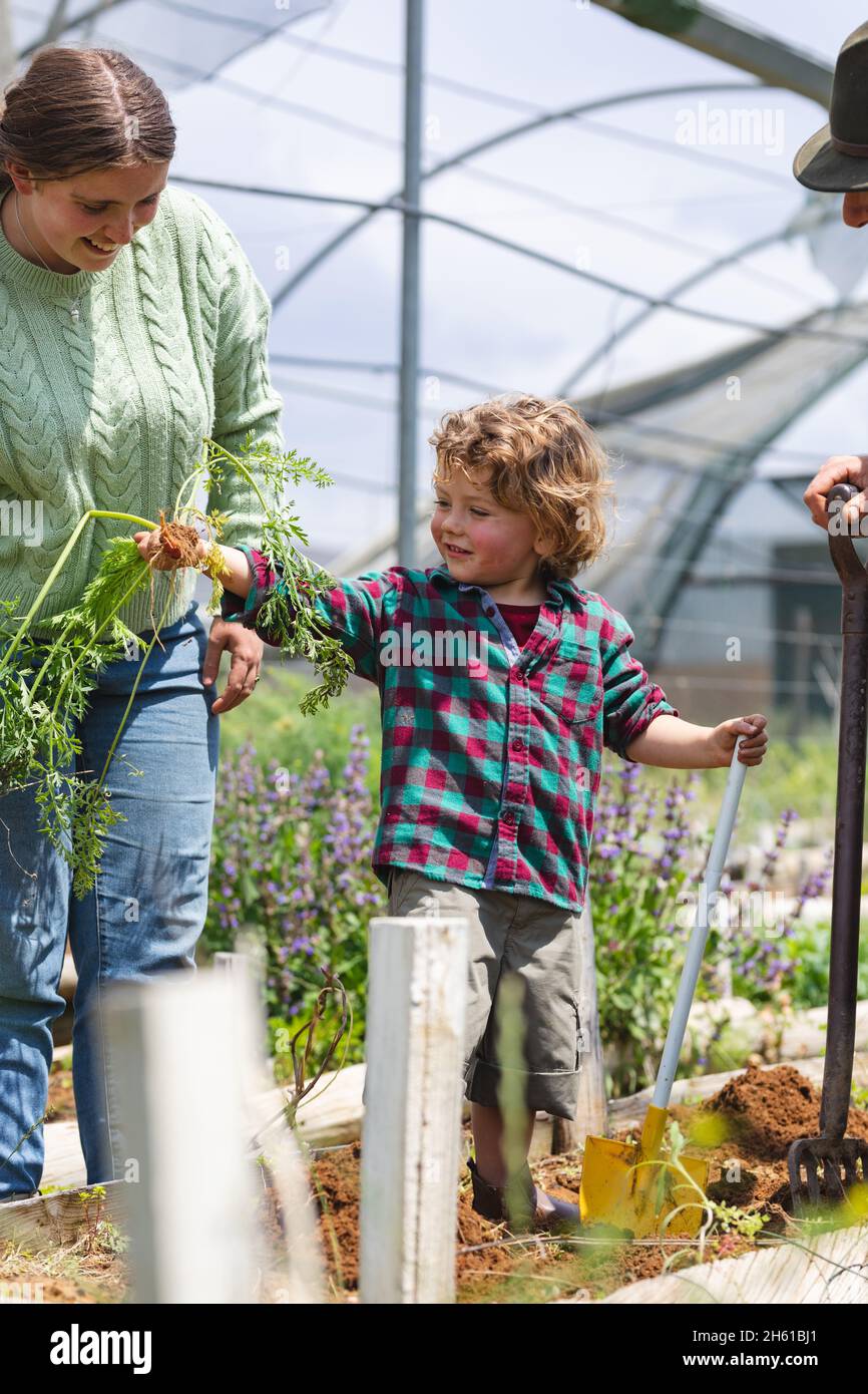 Smiling cute boy farming with help of father and mother at greenhouse ...