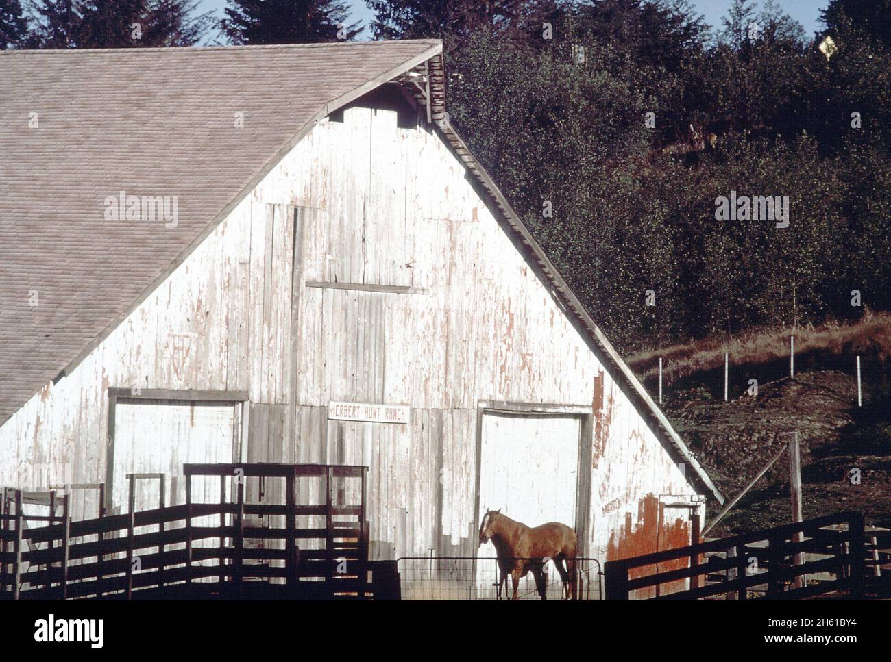 Herbert hunt ranch hi-res stock photography and images - Alamy