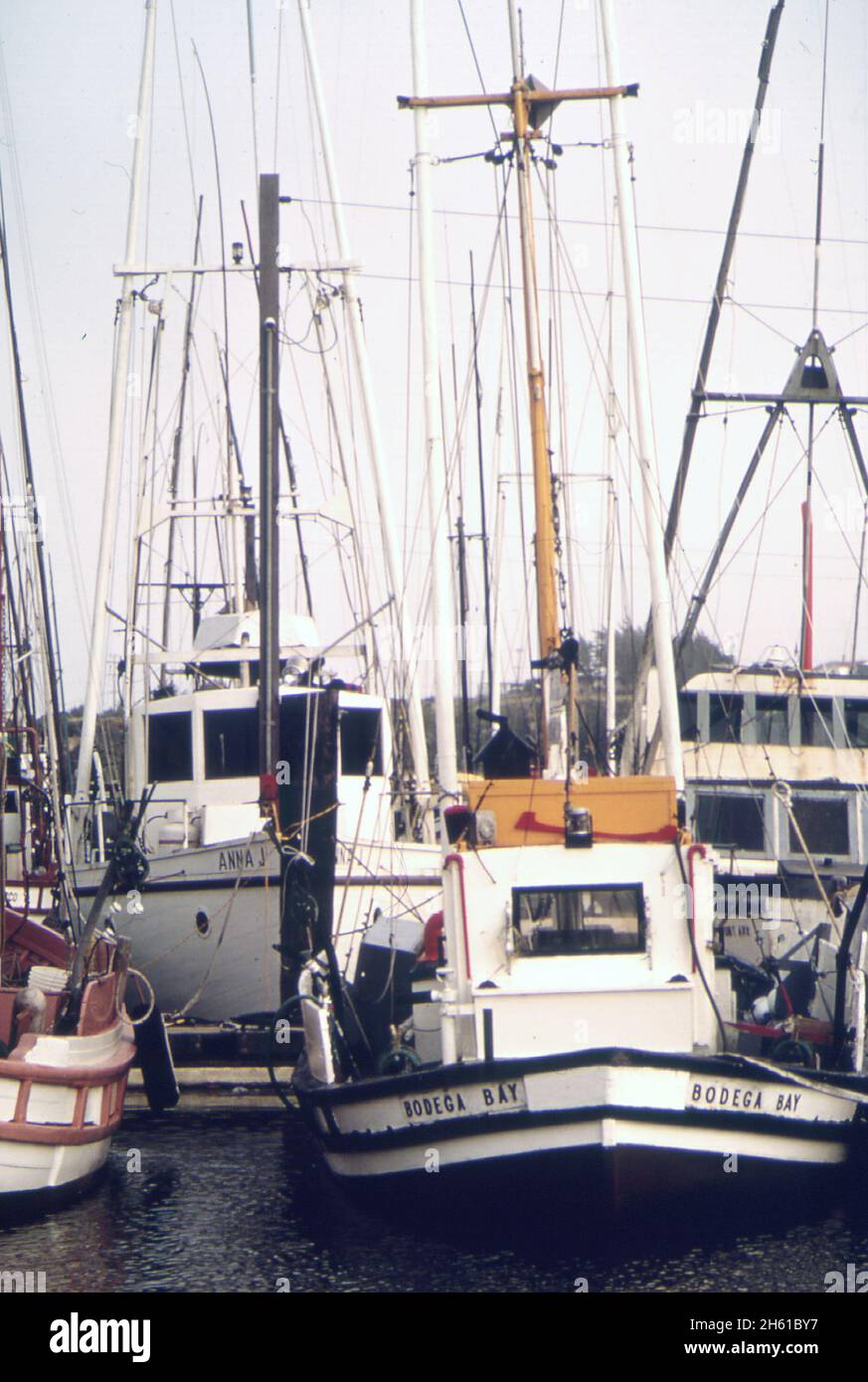 1970s America: Boats docked at Bodega Bay in California ca. 1972 Stock ...