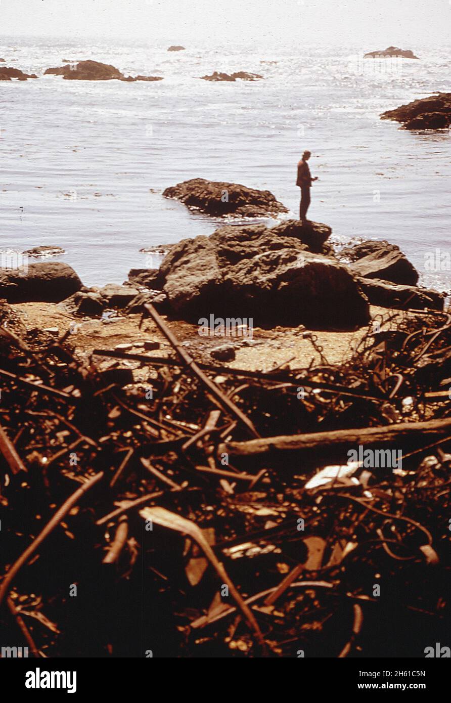 1970s America: Man standing on a rock on shore of Pacific Ocean with ...