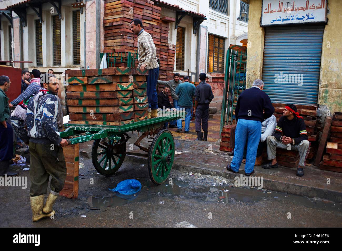Egypte, la côte méditerranéenne, Alexandrie, le marché aux poissons ...