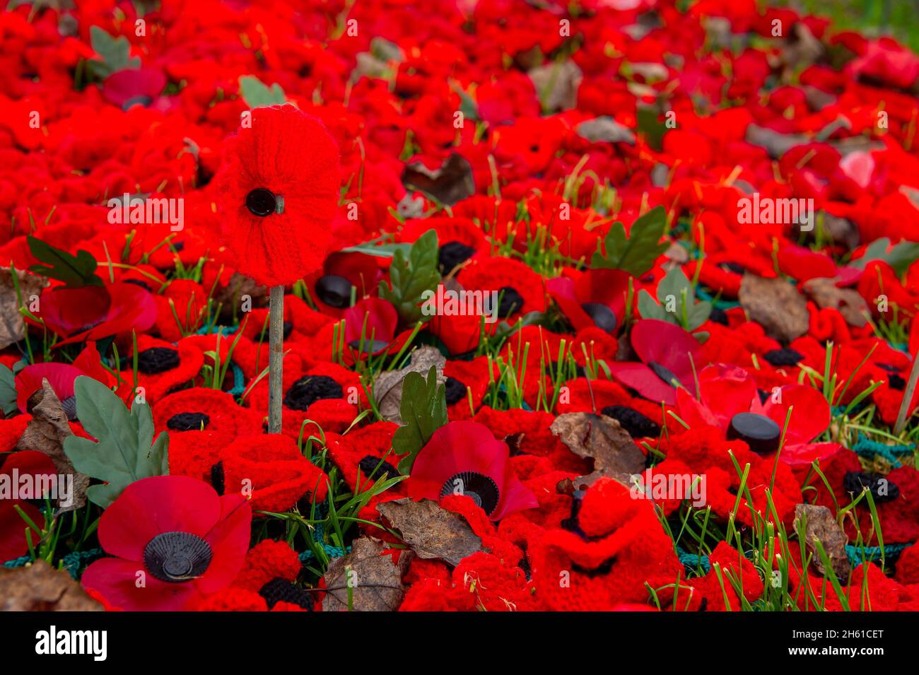 Ley Hill, Chesham, UK. 12th November, 2021. To mark Remembrance Day and ...
