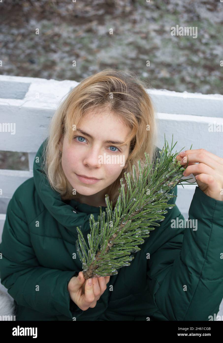 beautiful young woman, teenage girl, holds in her hand an icy pine ...