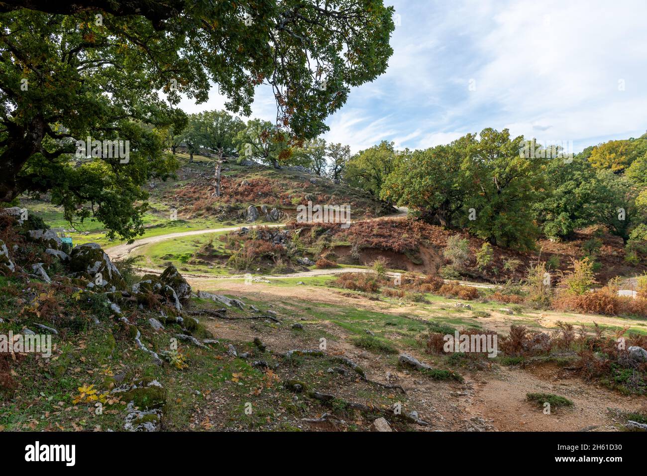 Scenic countryside path trees hi-res stock photography and images - Alamy