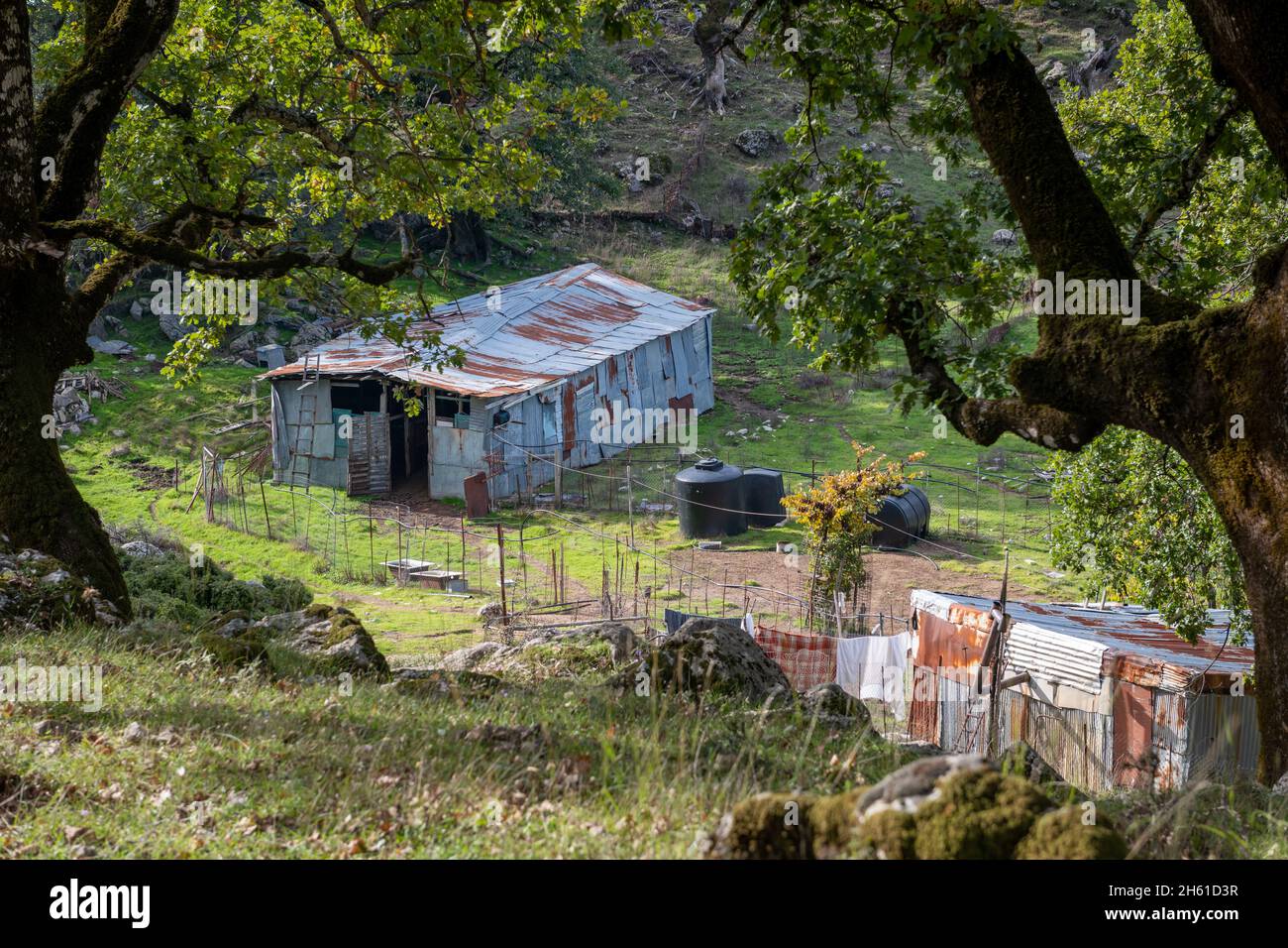 A poor off grid run down farm, home on a mountain side Stock Photo - Alamy