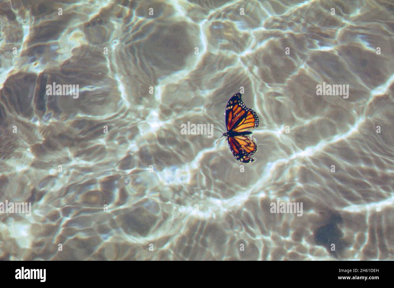 1970s destin florida beach hi-res stock photography and images - Alamy