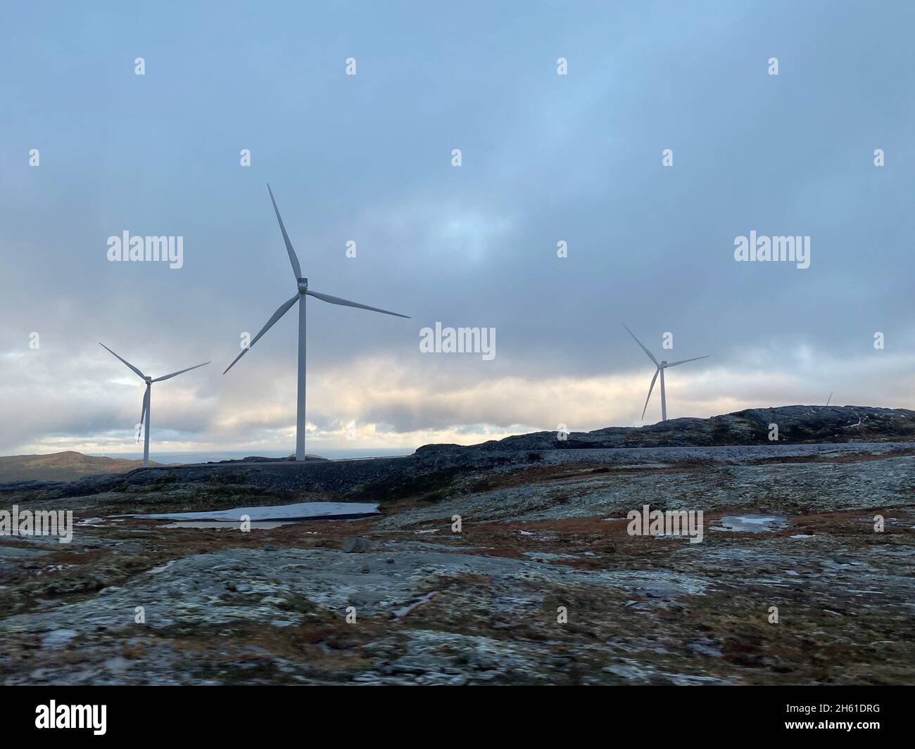 Buli hi-res stock photography and images - Alamy
