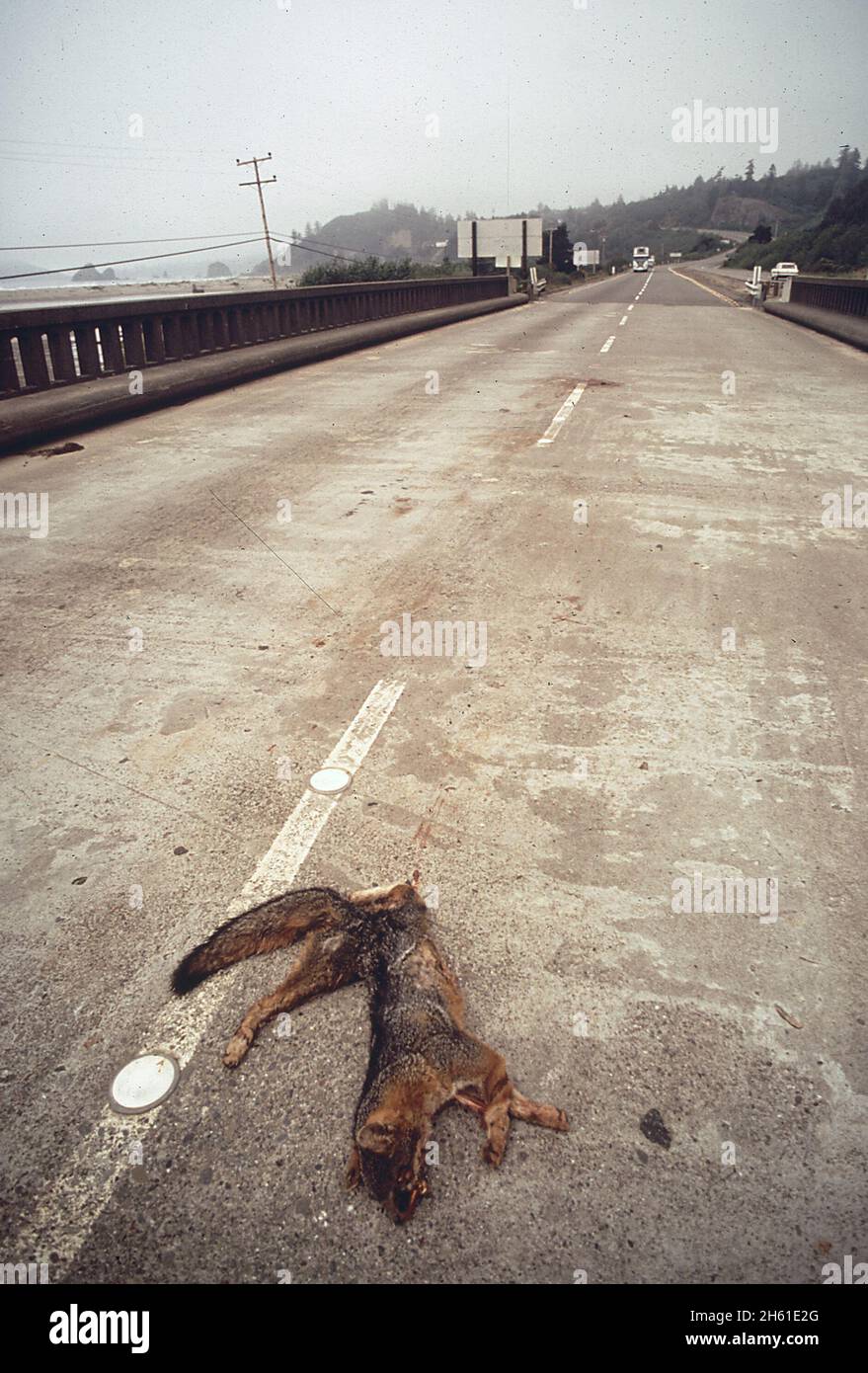 Highway 101 1970s hi-res stock photography and images - Alamy