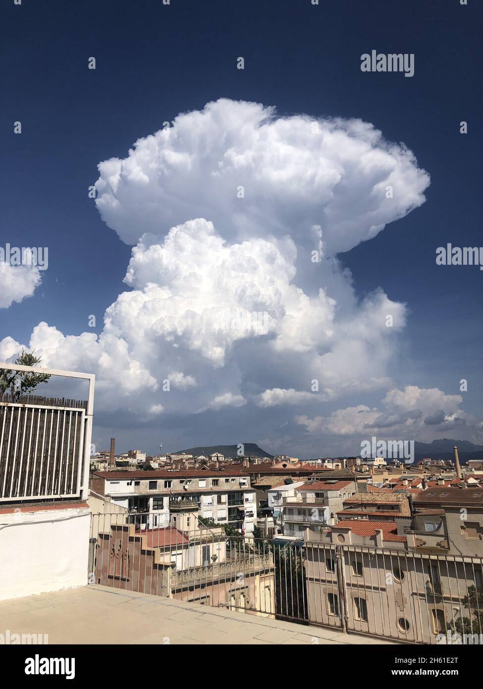 Overhanging fence hi-res stock photography and images - Alamy