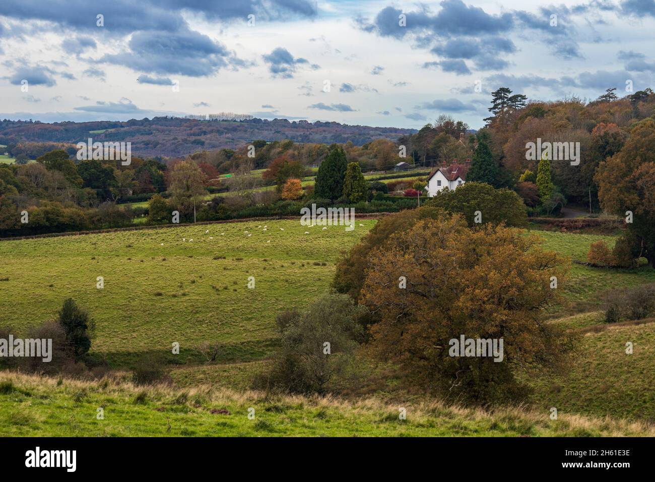 Autumn high weald rural countryside near Eridge East Sussex, south east ...