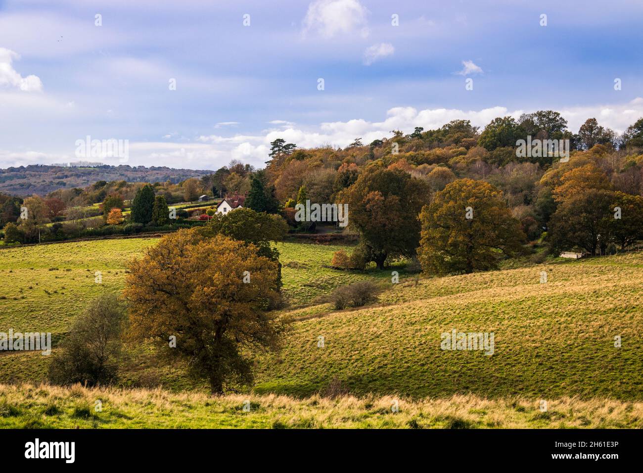 Autumn high weald rural countryside near Eridge East Sussex, south east ...