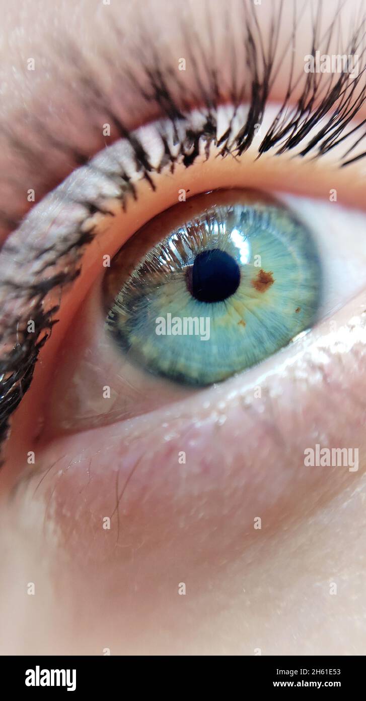 Lash extensions in beauty salon macro eye top view Stock Photo - Alamy