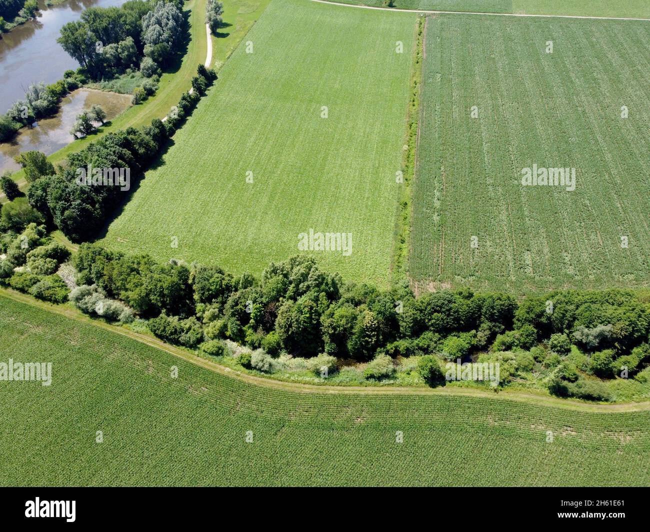 Aerial view of fields under a bright sky Stock Photo - Alamy